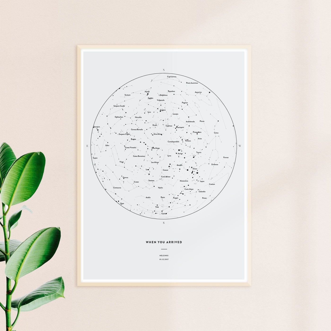 Create a Night Sky to always remember that special night — Made of Sundays