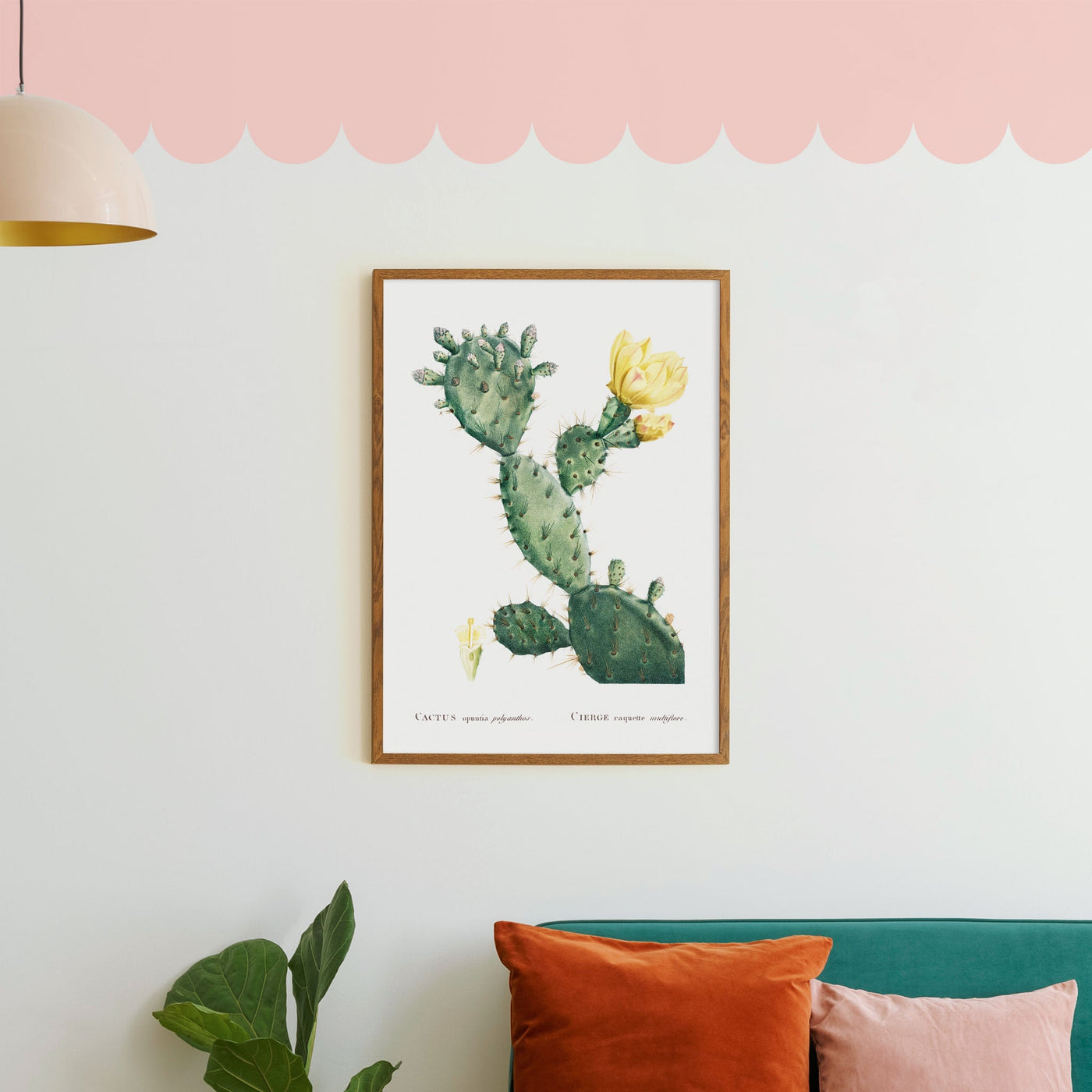 Beautiful vintage botanical cactus poster for living rooms — Made of ...