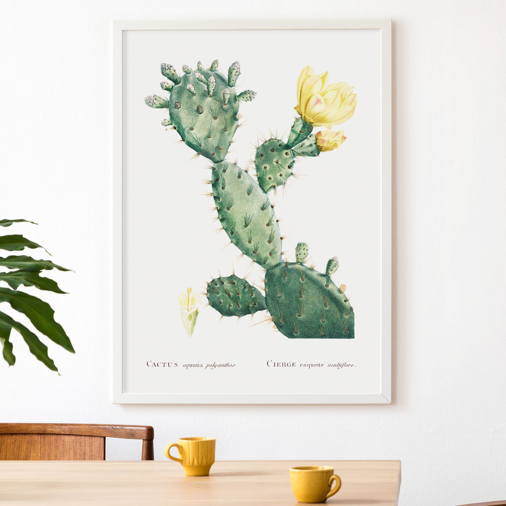 Beautiful vintage botanical cactus poster for living rooms — Made of ...