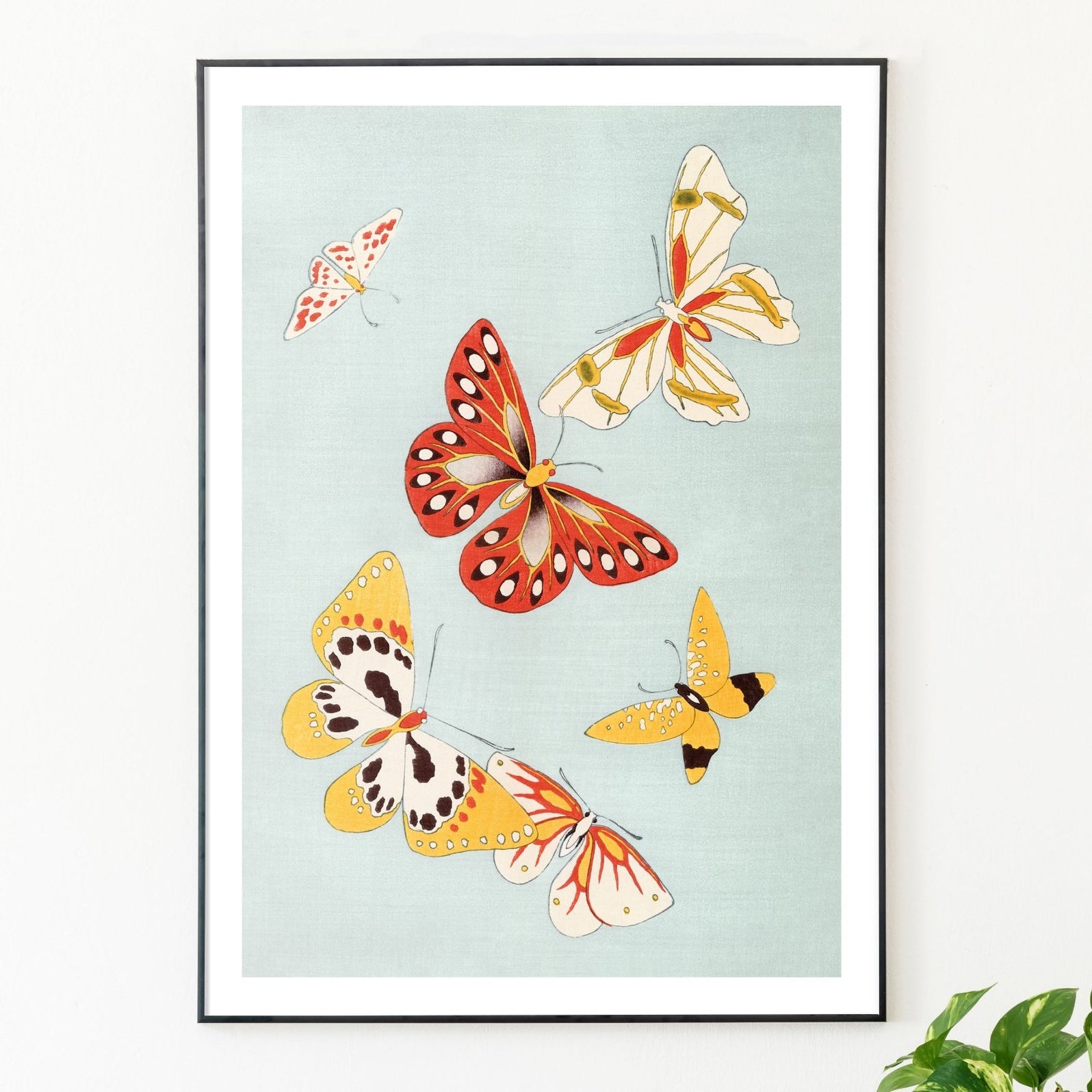 Colourful butterflies, vintage botanical poster - Made of Sundays