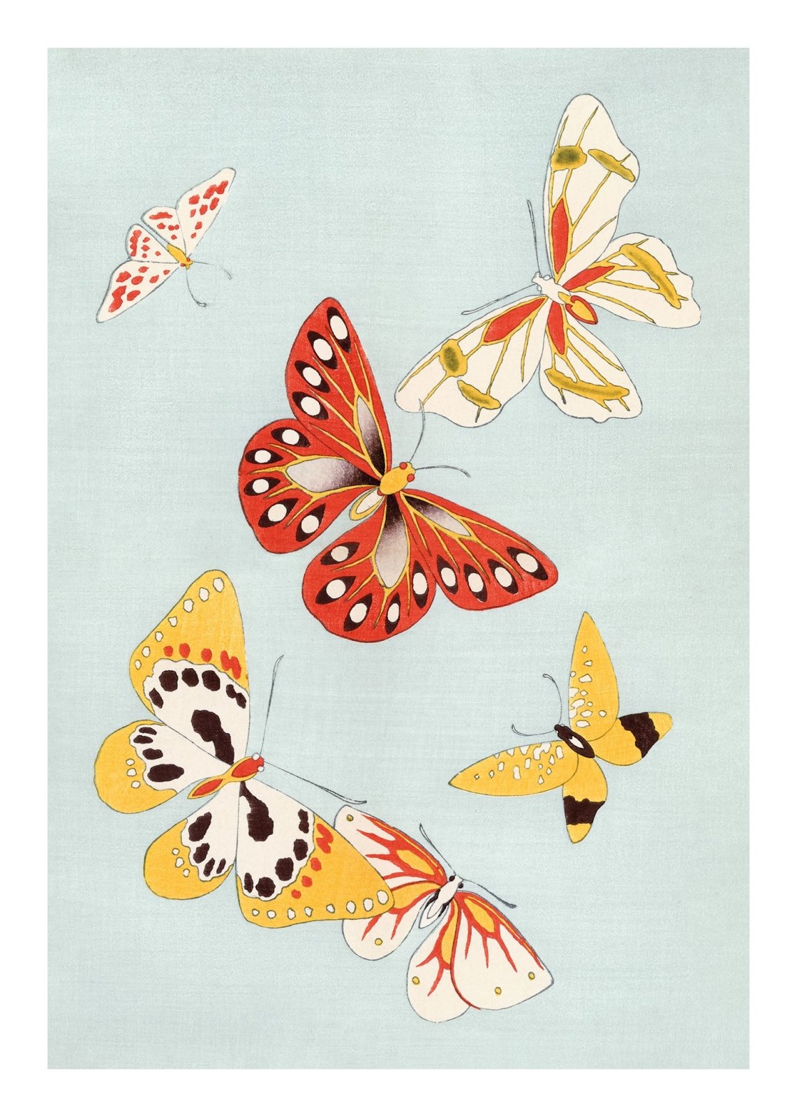 Colourful butterflies, vintage botanical poster - Made of Sundays