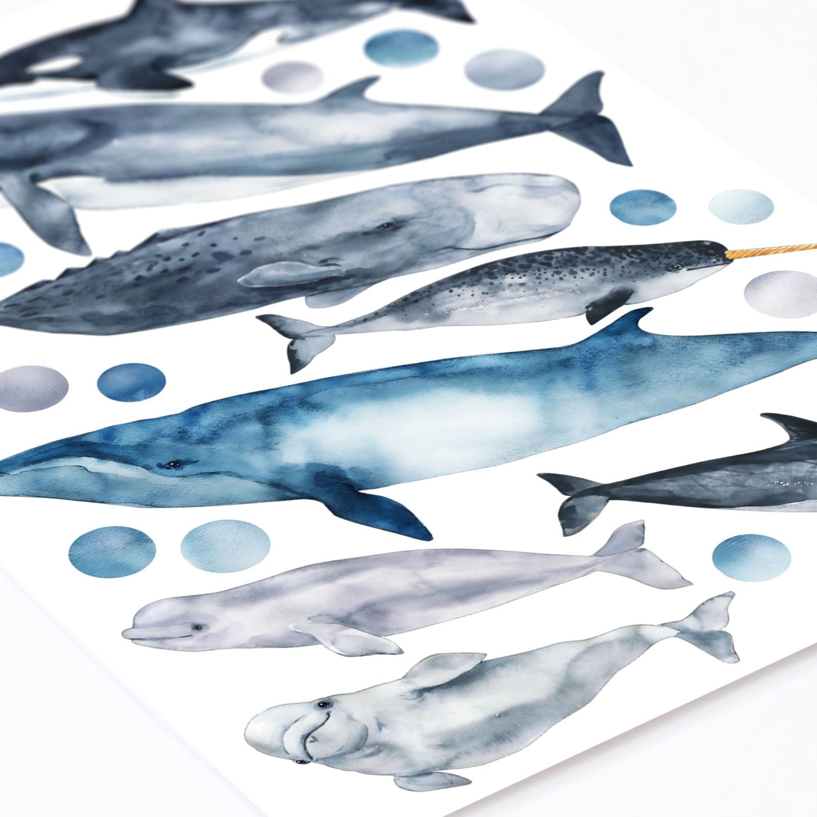 Whale and dolphin wall decals for happy kids rooms — Made of Sundays